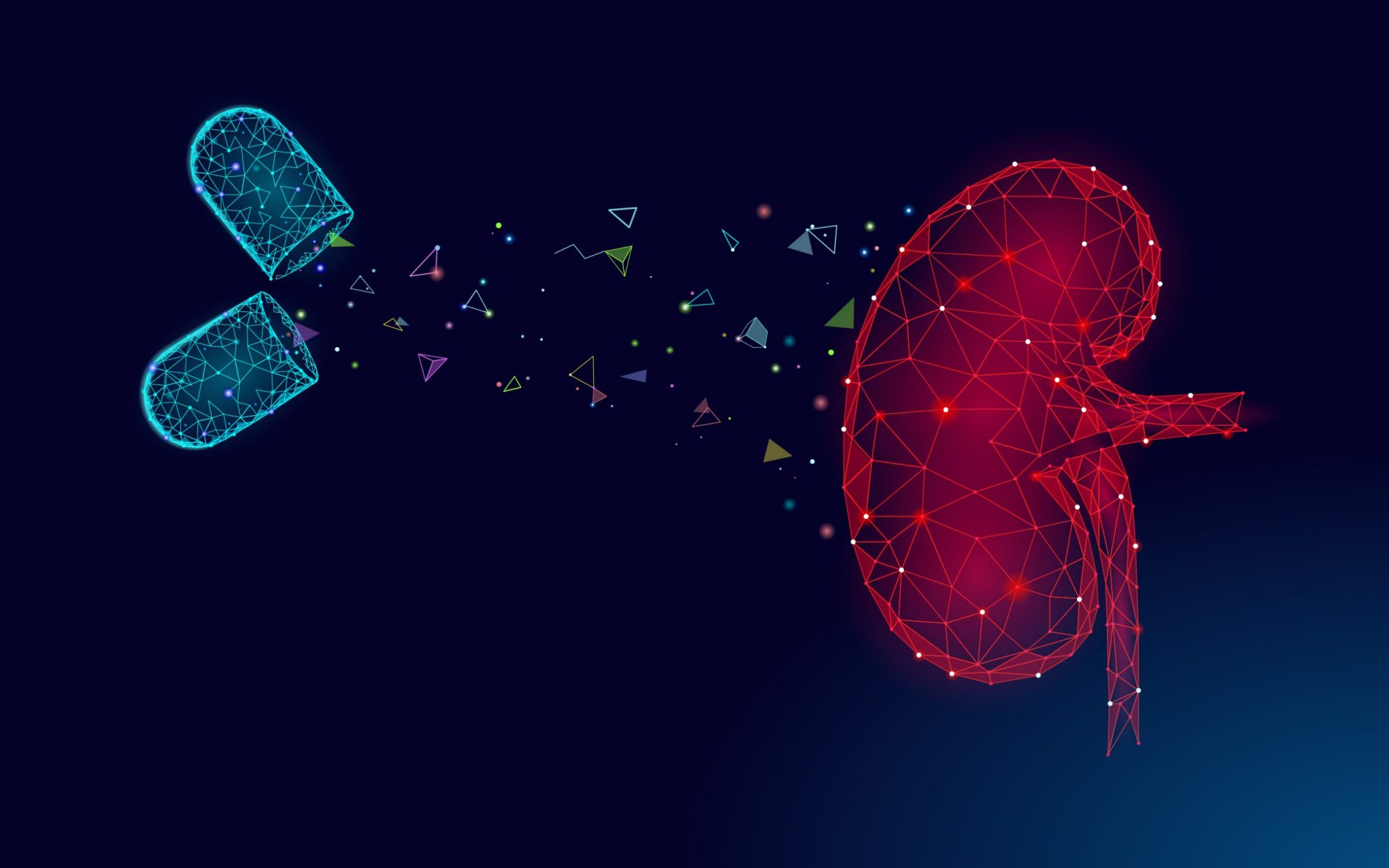 The Best Kidney Supplement on Amazon: Kidney C.O.P.® or Stone Breaker ...