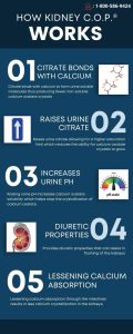 How does Kidney C.O.P.® work? - kidneycop